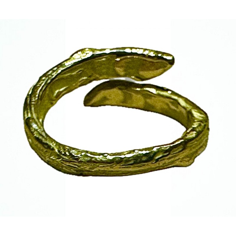 Meeting model ring